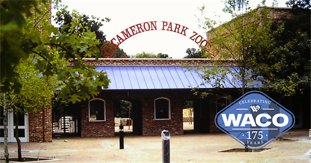 Cameron Park Zoo: Where Wildlife Meets Conservation City of Waco