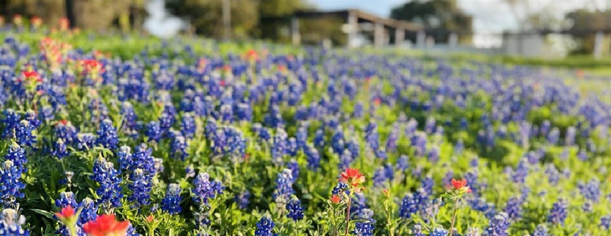 Homepage Banner Photo 6 City of Waco