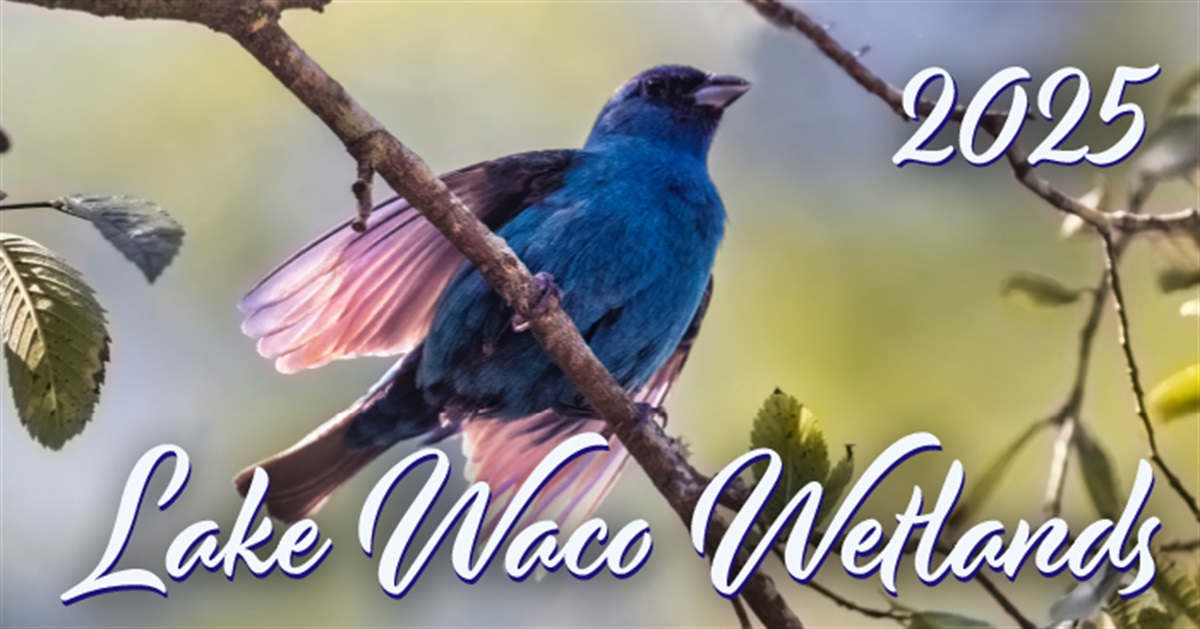 Lake Waco Wetlands 2025 Calendar Now Available City of Waco